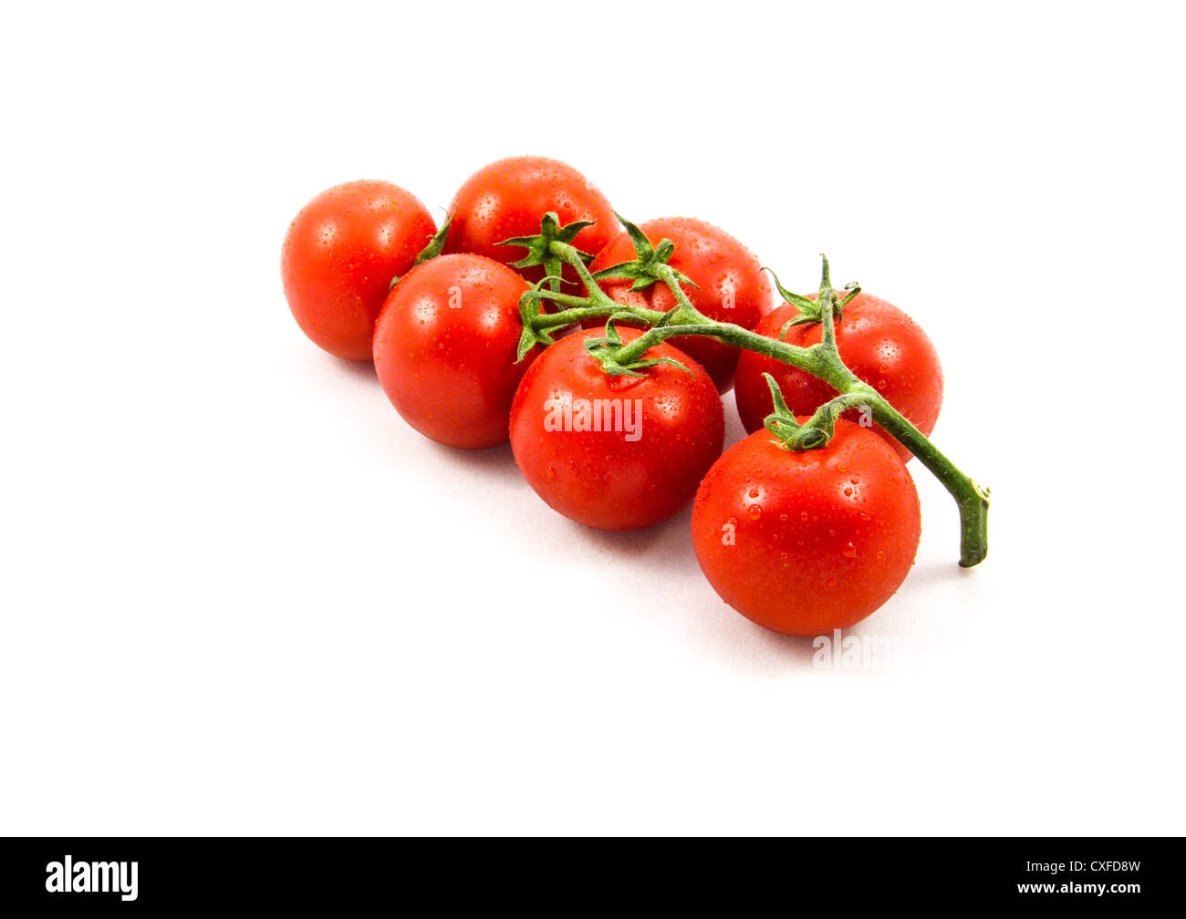 Tomaten nahaufnahme -Fotos und -Bildmaterial in hoher Auflösung – Alamy
