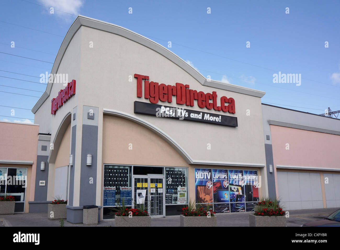 Tiger elektronik -Fotos und -Bildmaterial in hoher Auflösung – Alamy