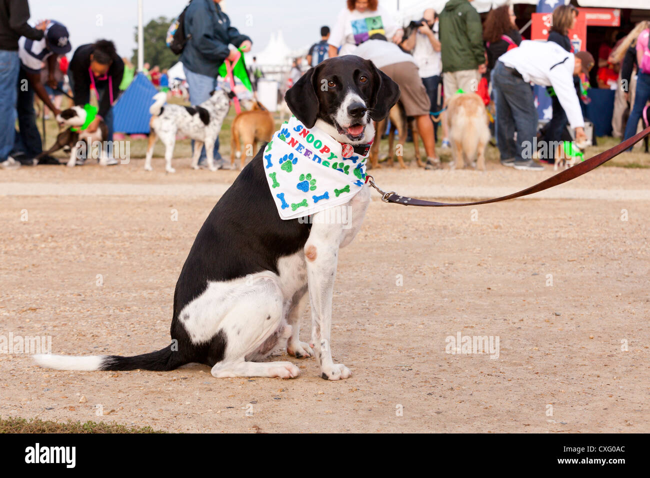 Profil aus -Fotos und -Bildmaterial in hoher Auflösung – Alamy