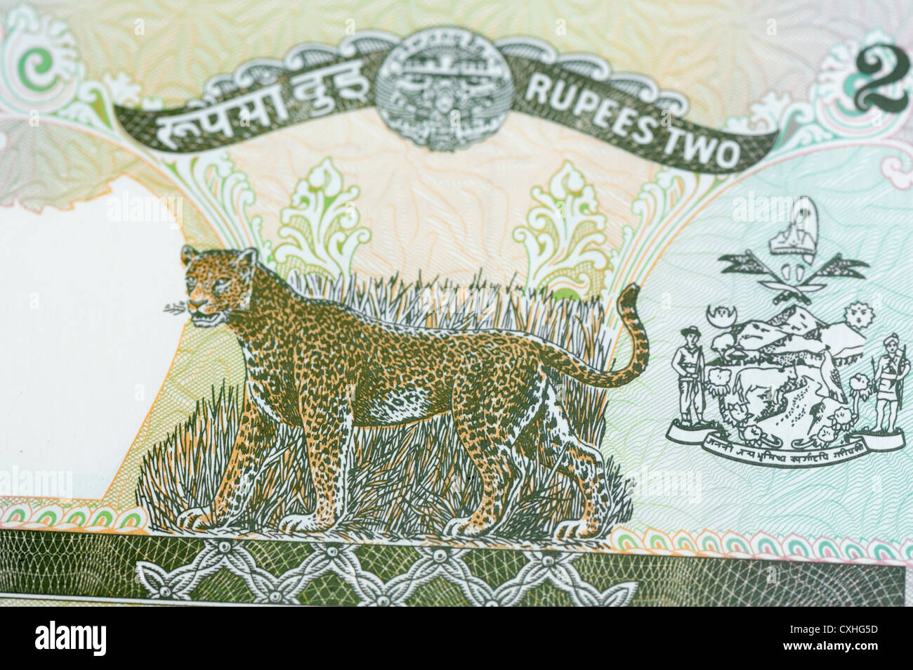 Rupee banknotes -Fotos und -Bildmaterial in hoher Auflösung – Alamy