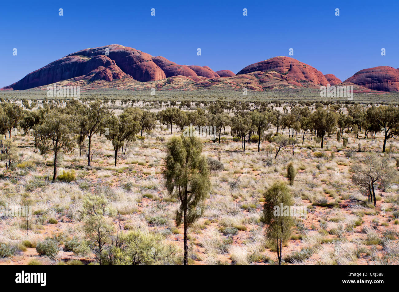 Trockenes outback -Fotos und -Bildmaterial in hoher Auflösung – Alamy