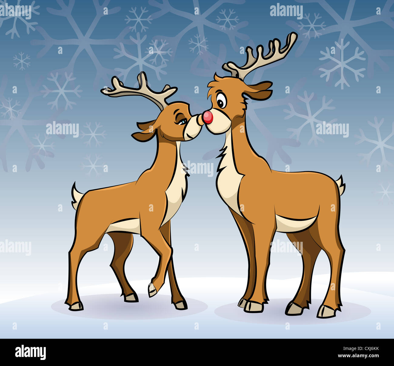 Paarhuf -Fotos und -Bildmaterial in hoher Auflösung – Alamy