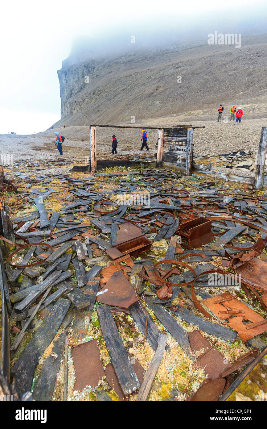 Beechey island -Fotos und -Bildmaterial in hoher Auflösung – Alamy