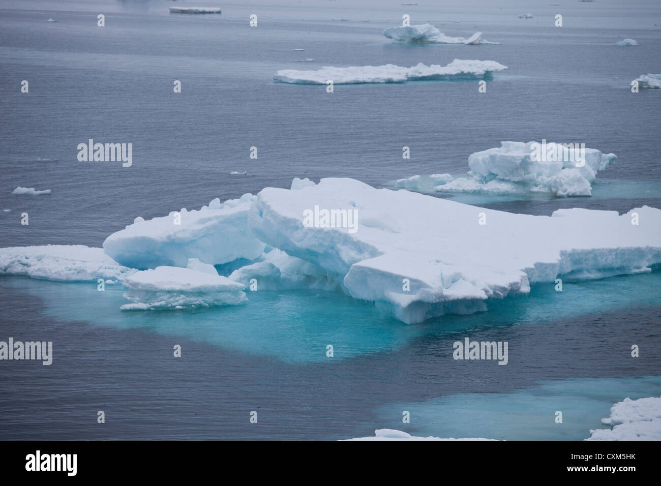 Eisscholle polar -Fotos und -Bildmaterial in hoher Auflösung – Alamy