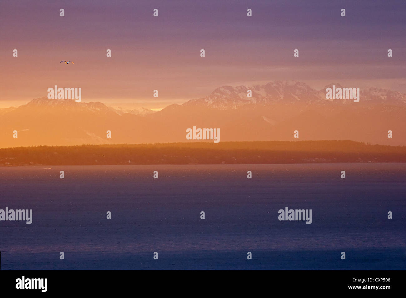 Olympic mountains -Fotos und -Bildmaterial in hoher Auflösung – Alamy