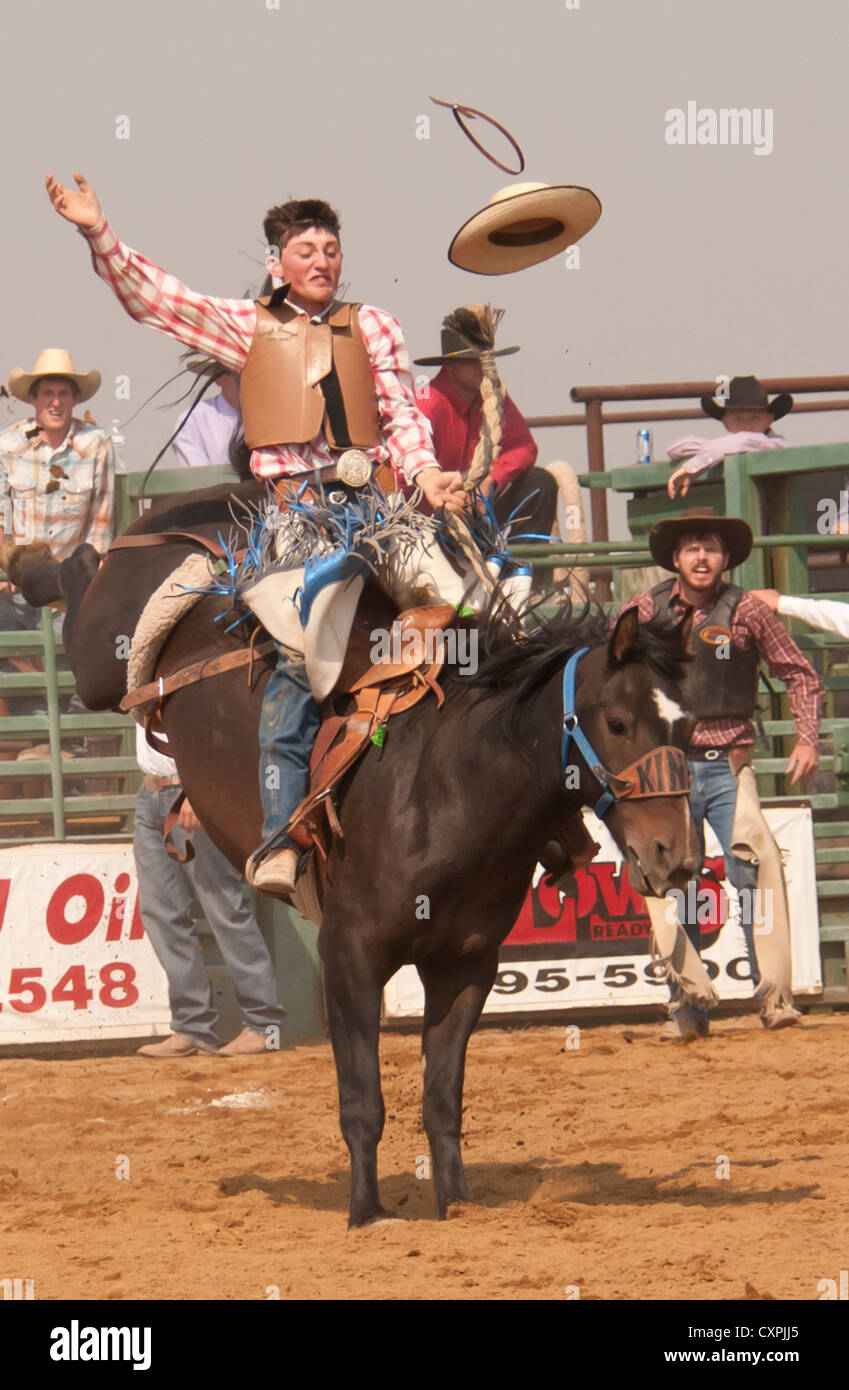 Cowboy mit sattel -Fotos und -Bildmaterial in hoher Auflösung – Alamy