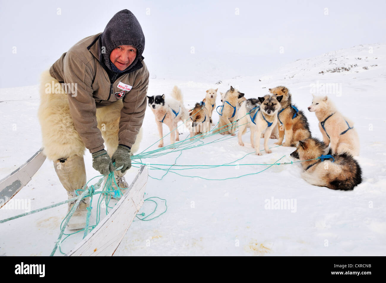 Inuit schlitten -Fotos und -Bildmaterial in hoher Auflösung – Alamy