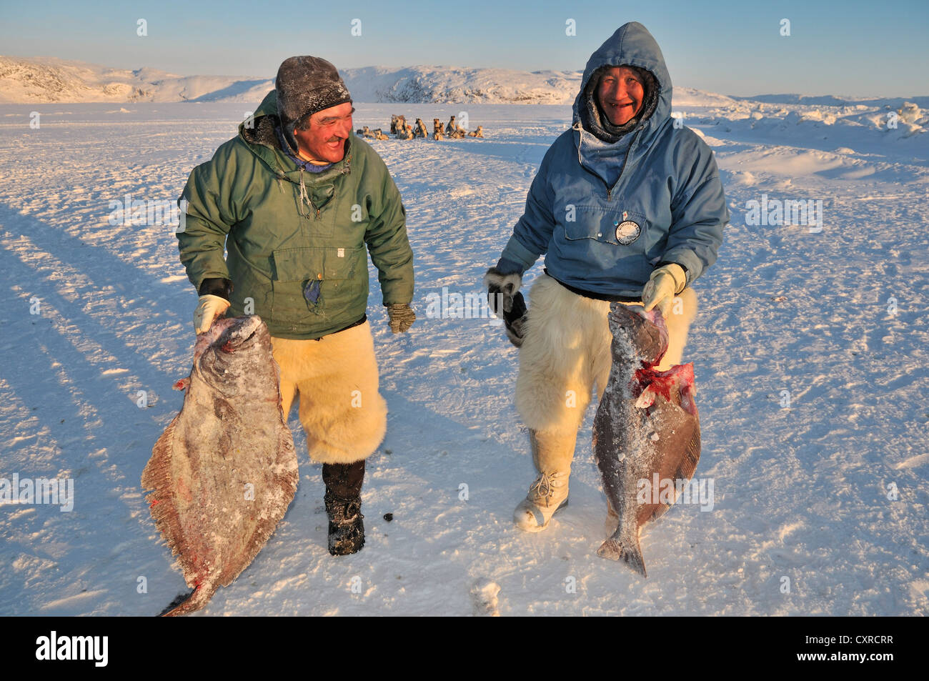 Inuit-Fischer bei der Langleinenfischerei am Ilulissat Fjord, Grönland ...