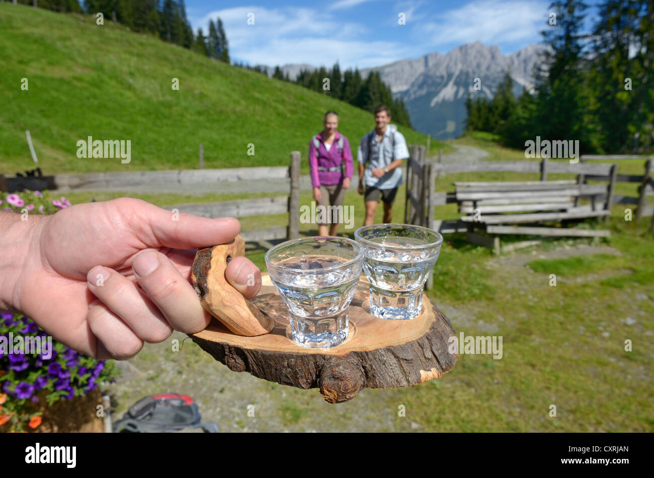 Gläser schnaps -Fotos und -Bildmaterial in hoher Auflösung – Alamy