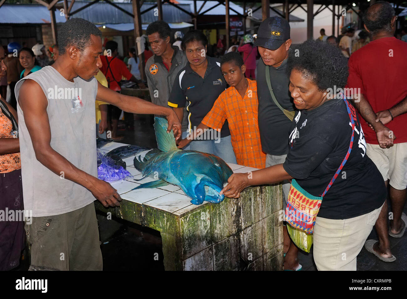 Auf der roten liste der bedrohten arten -Fotos und -Bildmaterial in ...