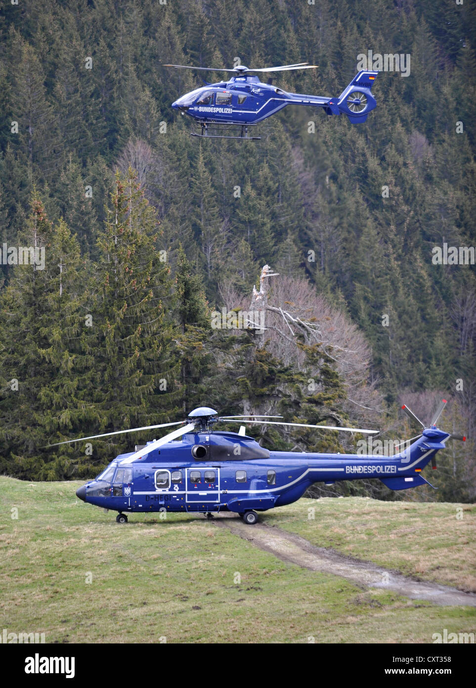 Ein Hubschrauber EC 135 T2i, an der Spitze und ein AS 332 L1 Super Puma ...