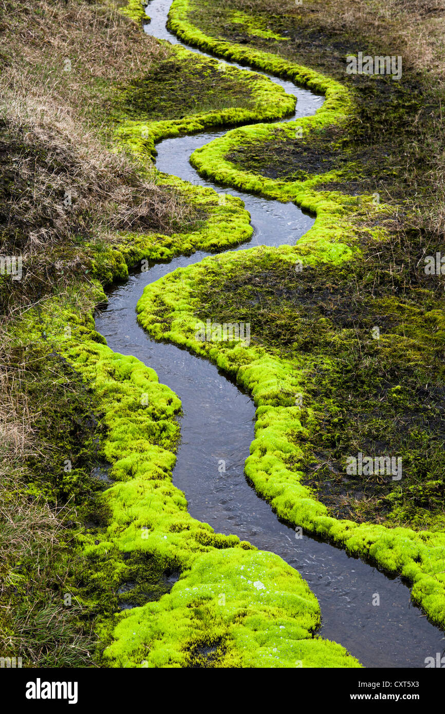 Flusswasser umgeben -Fotos und -Bildmaterial in hoher Auflösung – Alamy