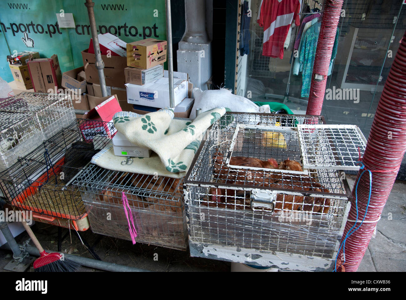 Bolhao markt -Fotos und -Bildmaterial in hoher Auflösung – Alamy