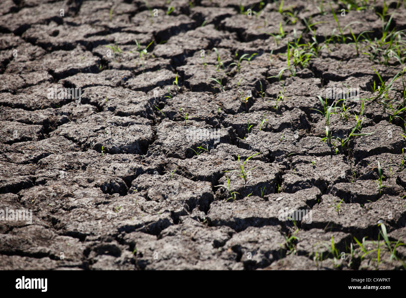 Trocken Wie Schmutz Stockfotos und -bilder Kaufen - Alamy