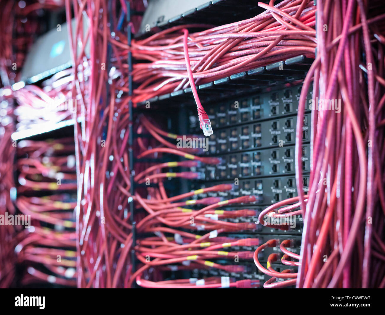 Nahaufnahme von Kabeln im Serverraum Stockfotografie - Alamy