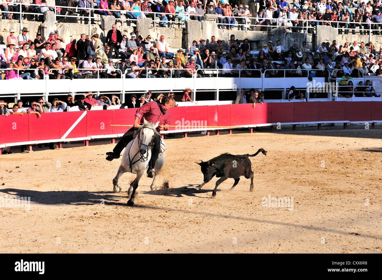 Stierkampf Mit Pferd Stockfotos und -bilder Kaufen - Alamy