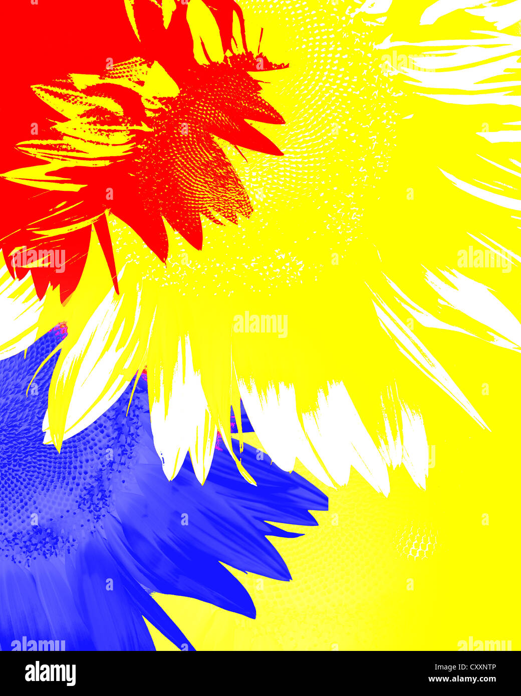 Bildende kunst und design -Fotos und -Bildmaterial in hoher Auflösung ...