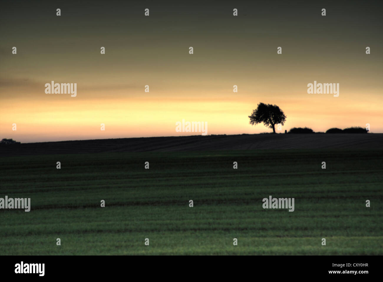 Drax und Eggborough Kohle befeuerten Kraftwerke betrachtet von der ...