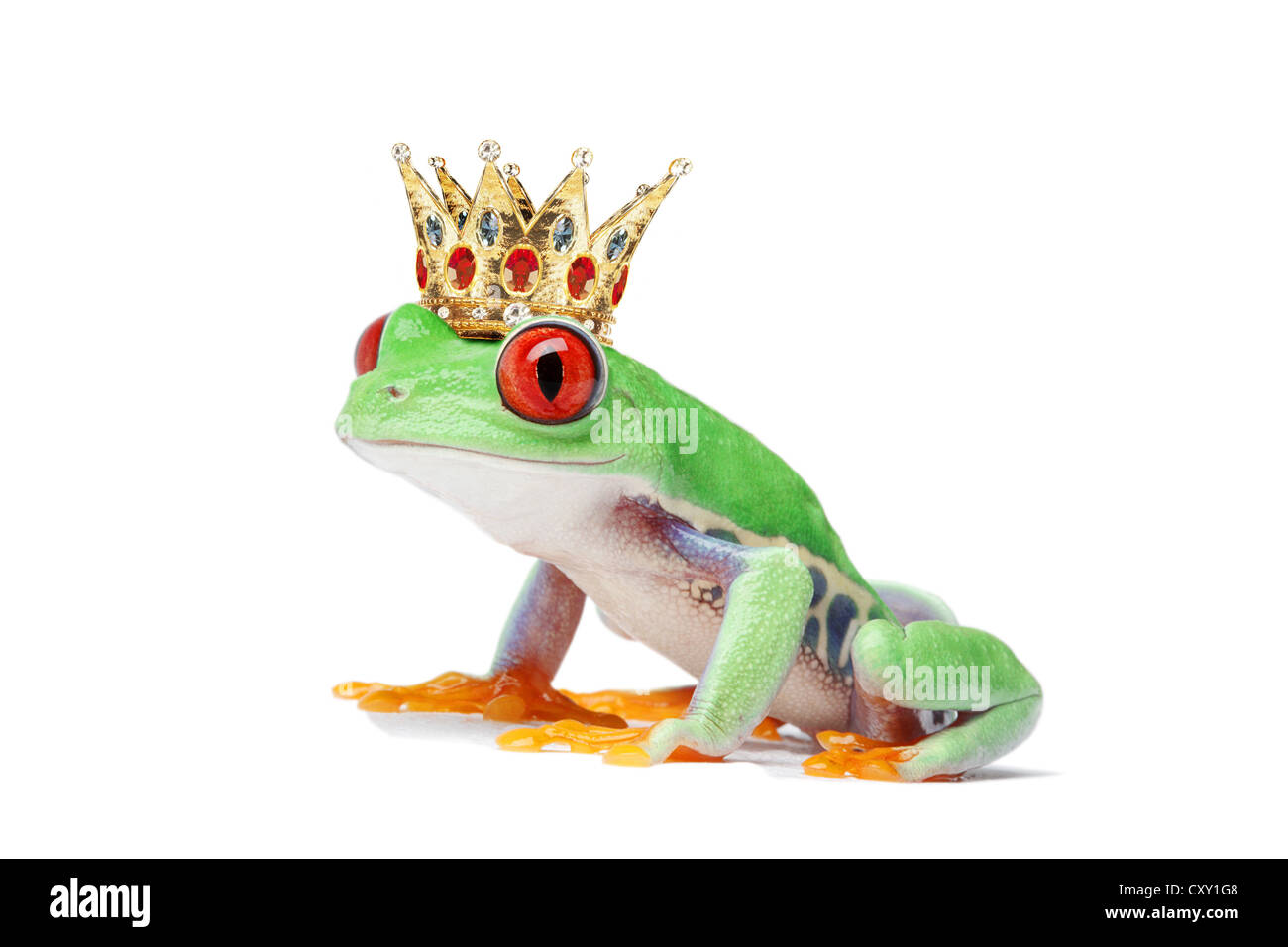 Frosch zeichen -Fotos und -Bildmaterial in hoher Auflösung – Alamy