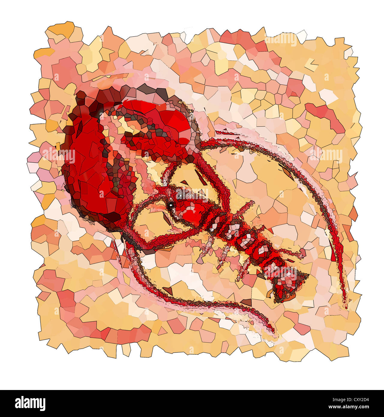 Sternzeichen krebs -Fotos und -Bildmaterial in hoher Auflösung – Alamy