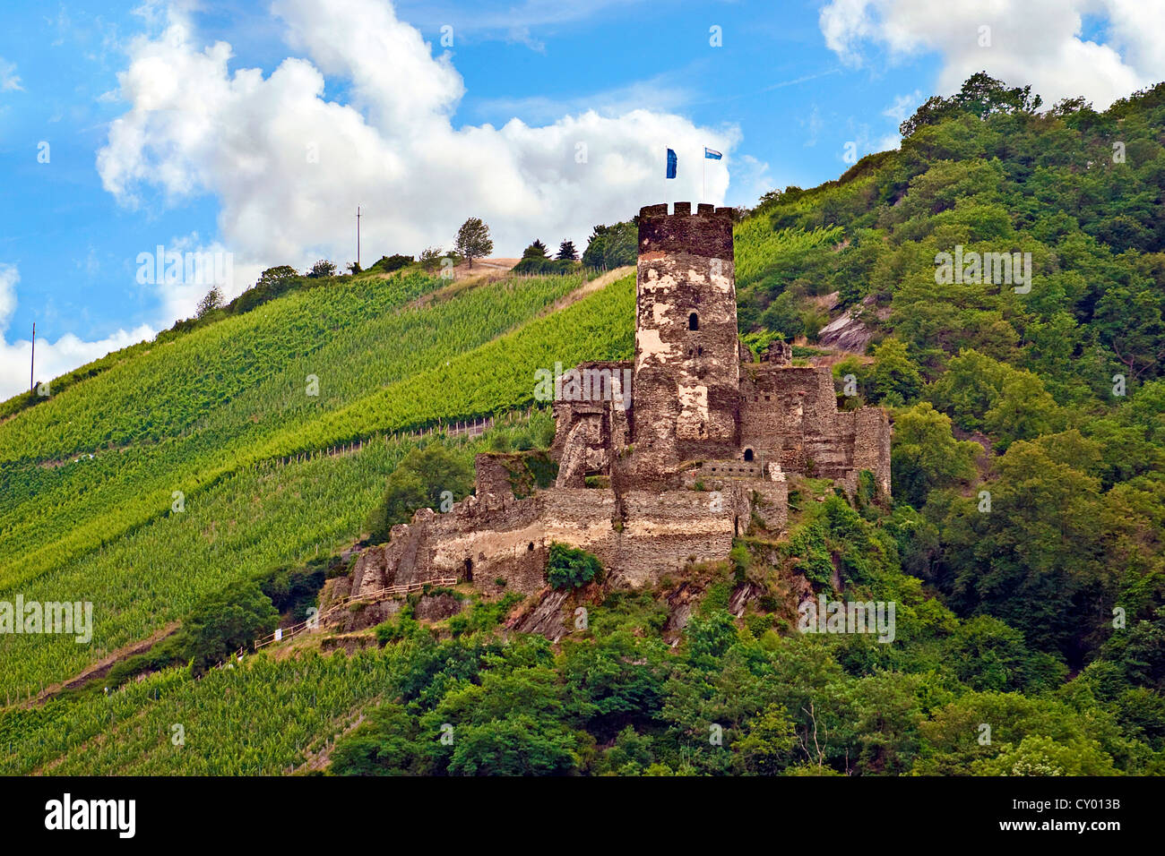 Burgruine fürstenberg -Fotos und -Bildmaterial in hoher Auflösung – Alamy