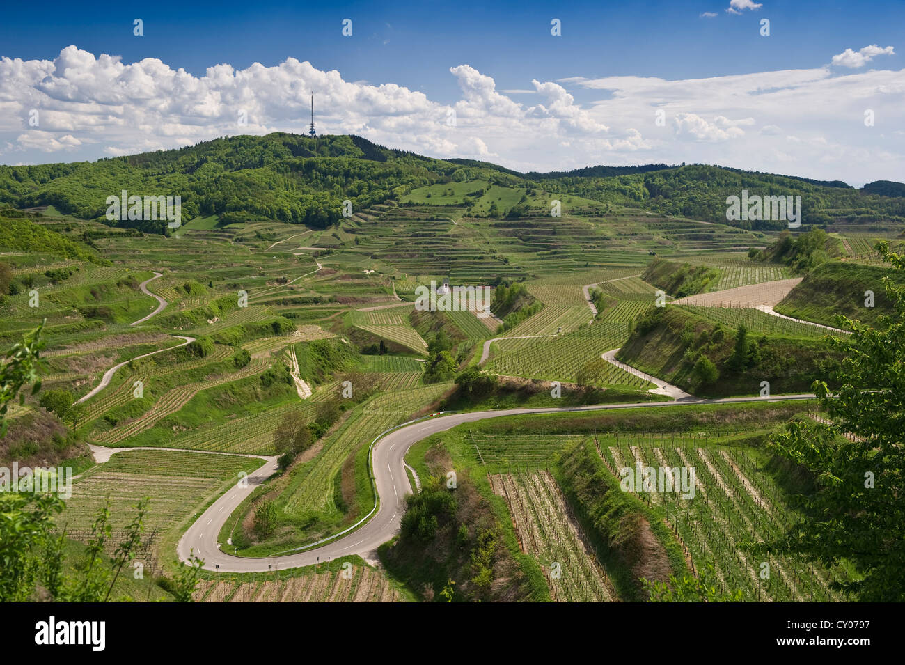 Kaiserstuhl weinberge oberbergen -Fotos und -Bildmaterial in hoher ...