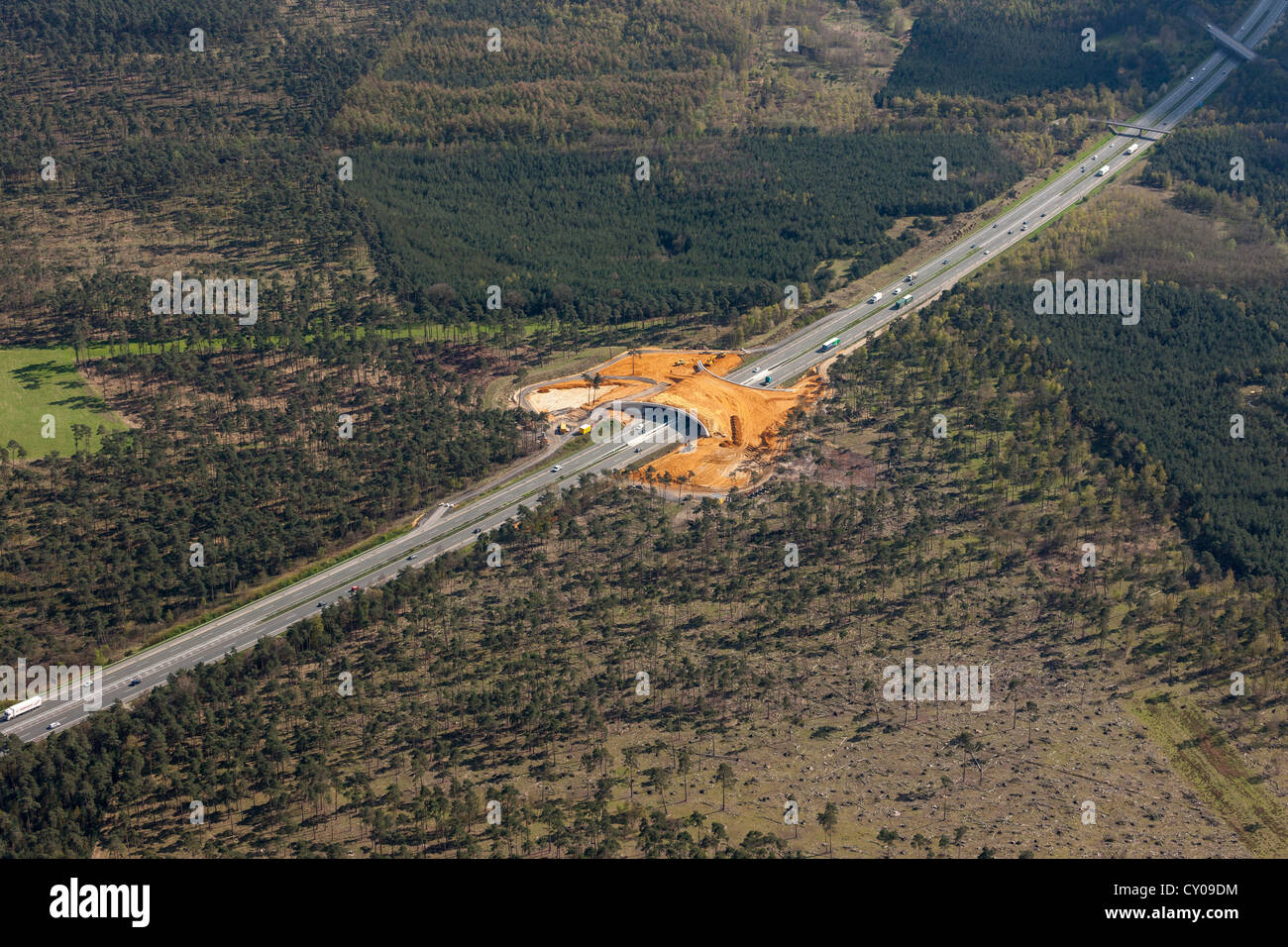 Luftaufnahme, Gruenbruecke Brücke auch bekannt als Wildbruecke ...