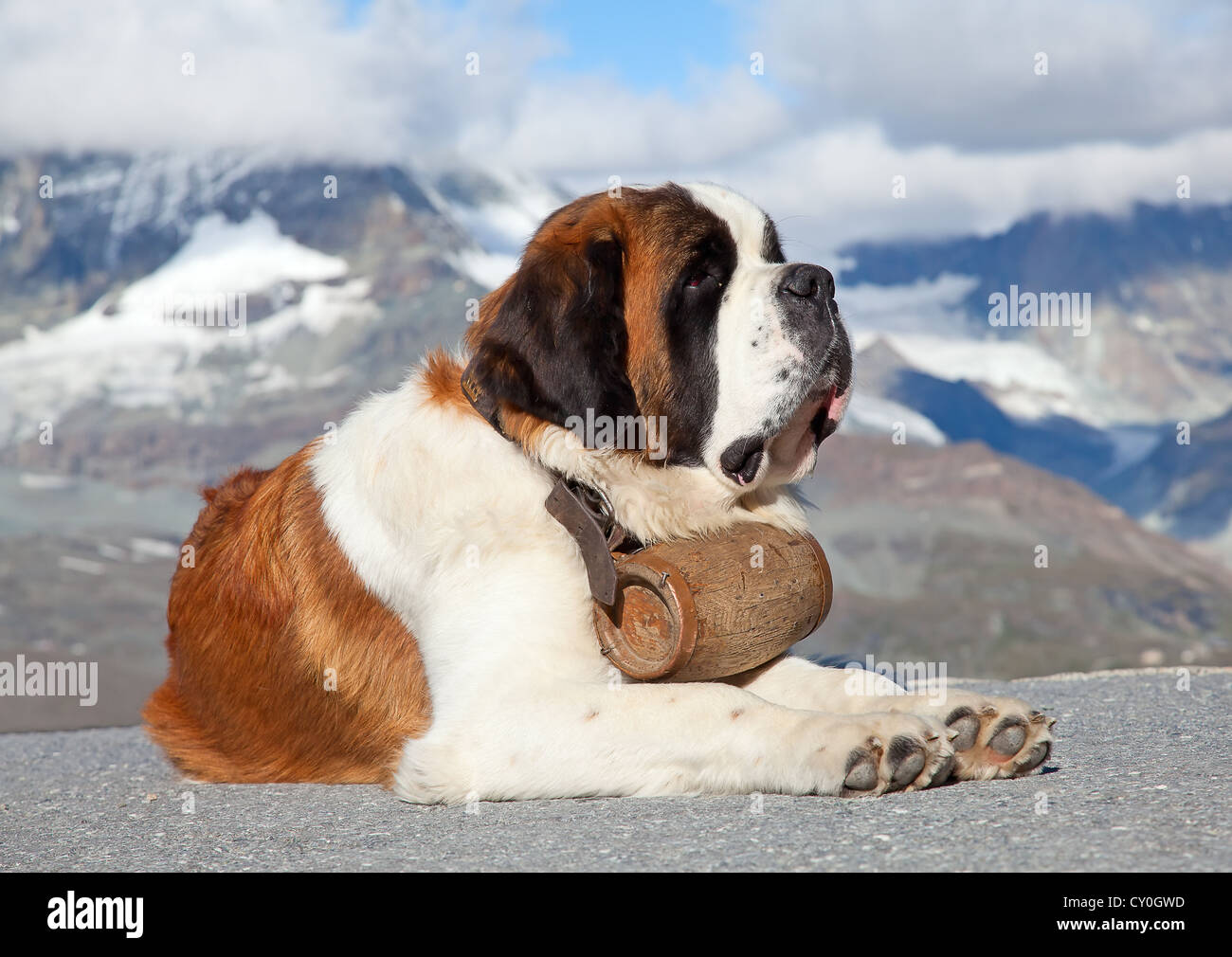 Brandy peak -Fotos und -Bildmaterial in hoher Auflösung – Alamy