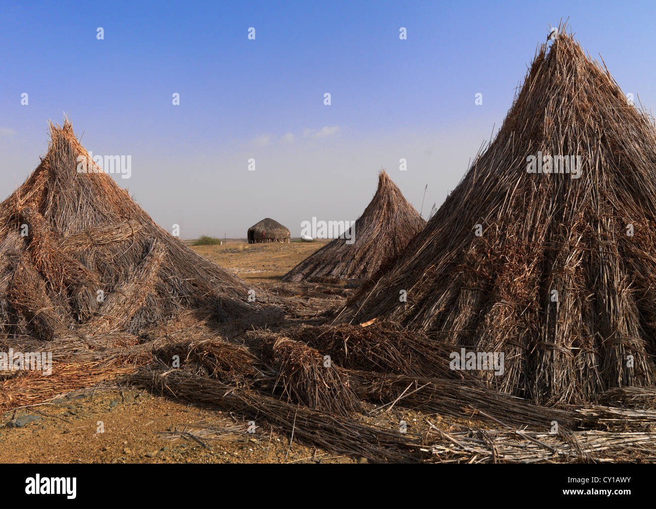Tihama saudi arabia -Fotos und -Bildmaterial in hoher Auflösung – Alamy