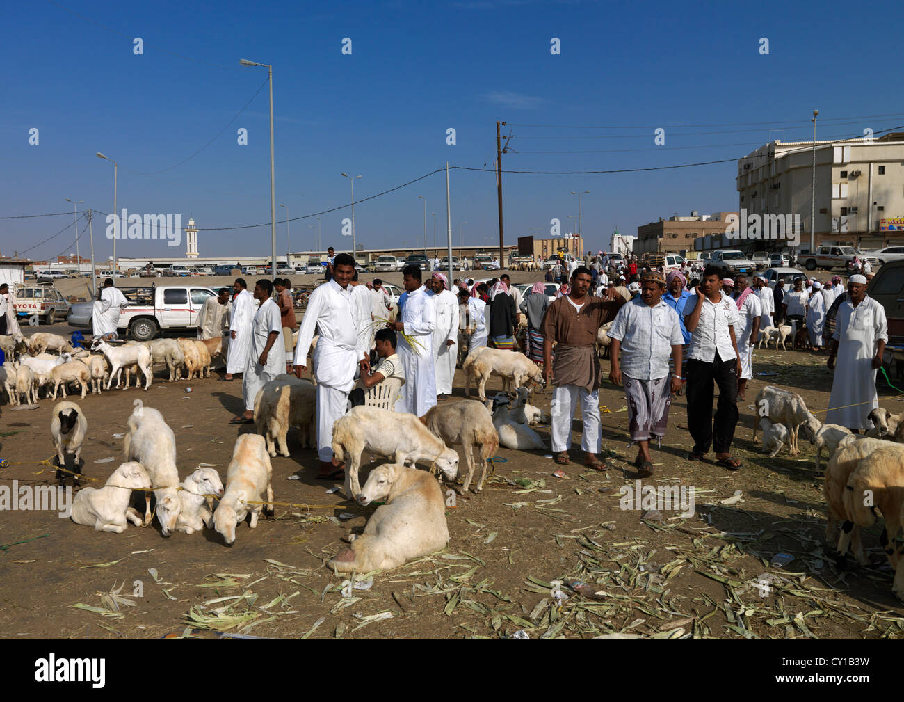 Tihama saudi arabia -Fotos und -Bildmaterial in hoher Auflösung – Alamy