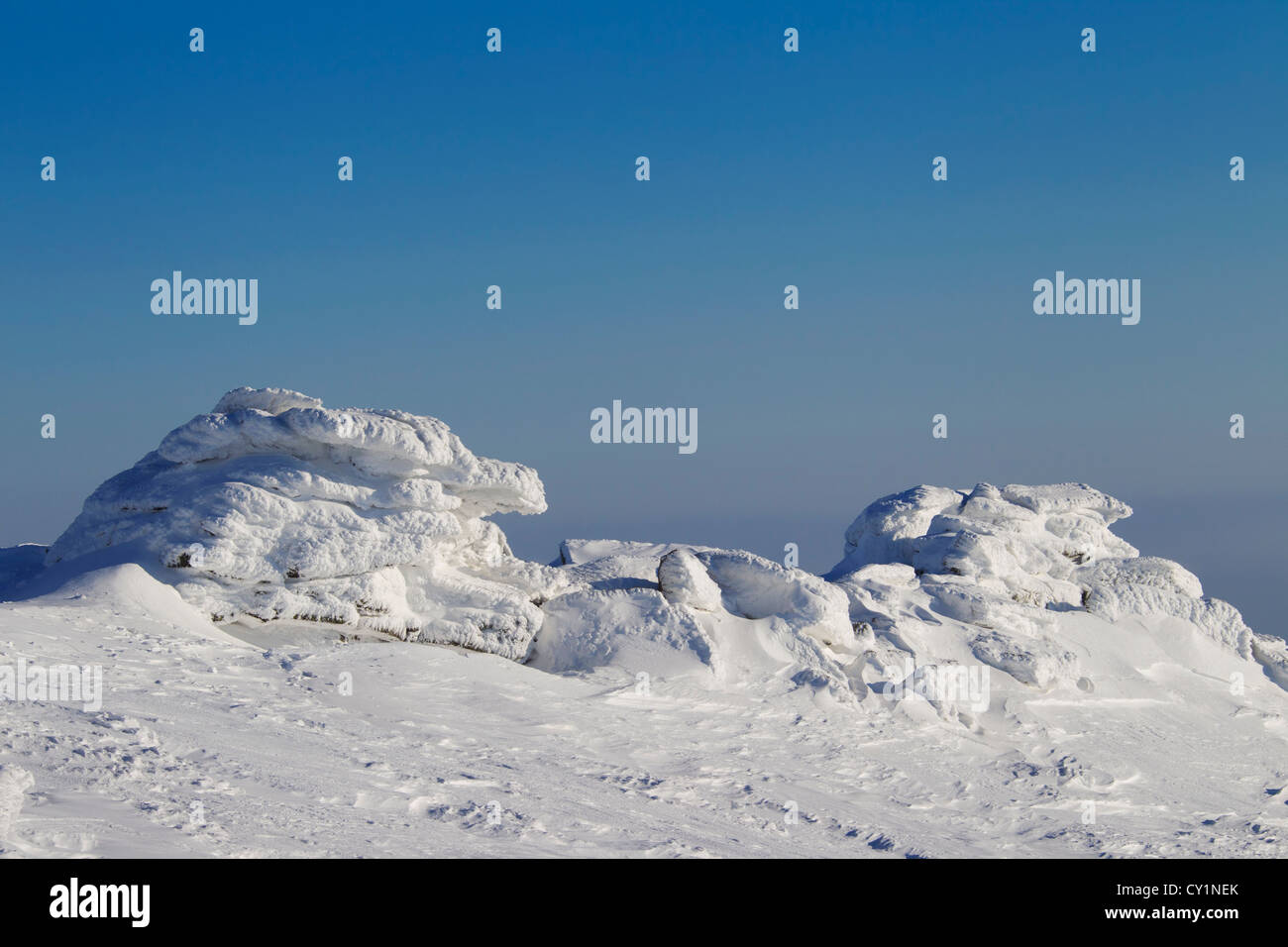 Nationalpark harz blocksberg -Fotos und -Bildmaterial in hoher ...
