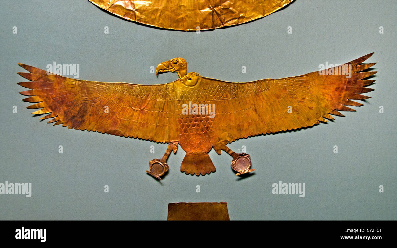 Falcon Pectoral Stockfotos und -bilder Kaufen - Alamy