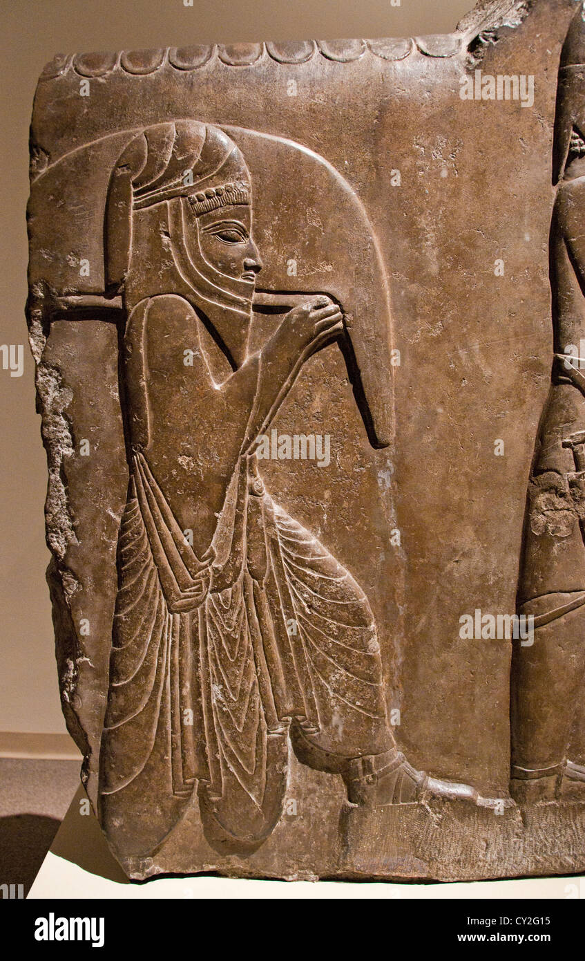 Persepolis museum -Fotos und -Bildmaterial in hoher Auflösung – Alamy