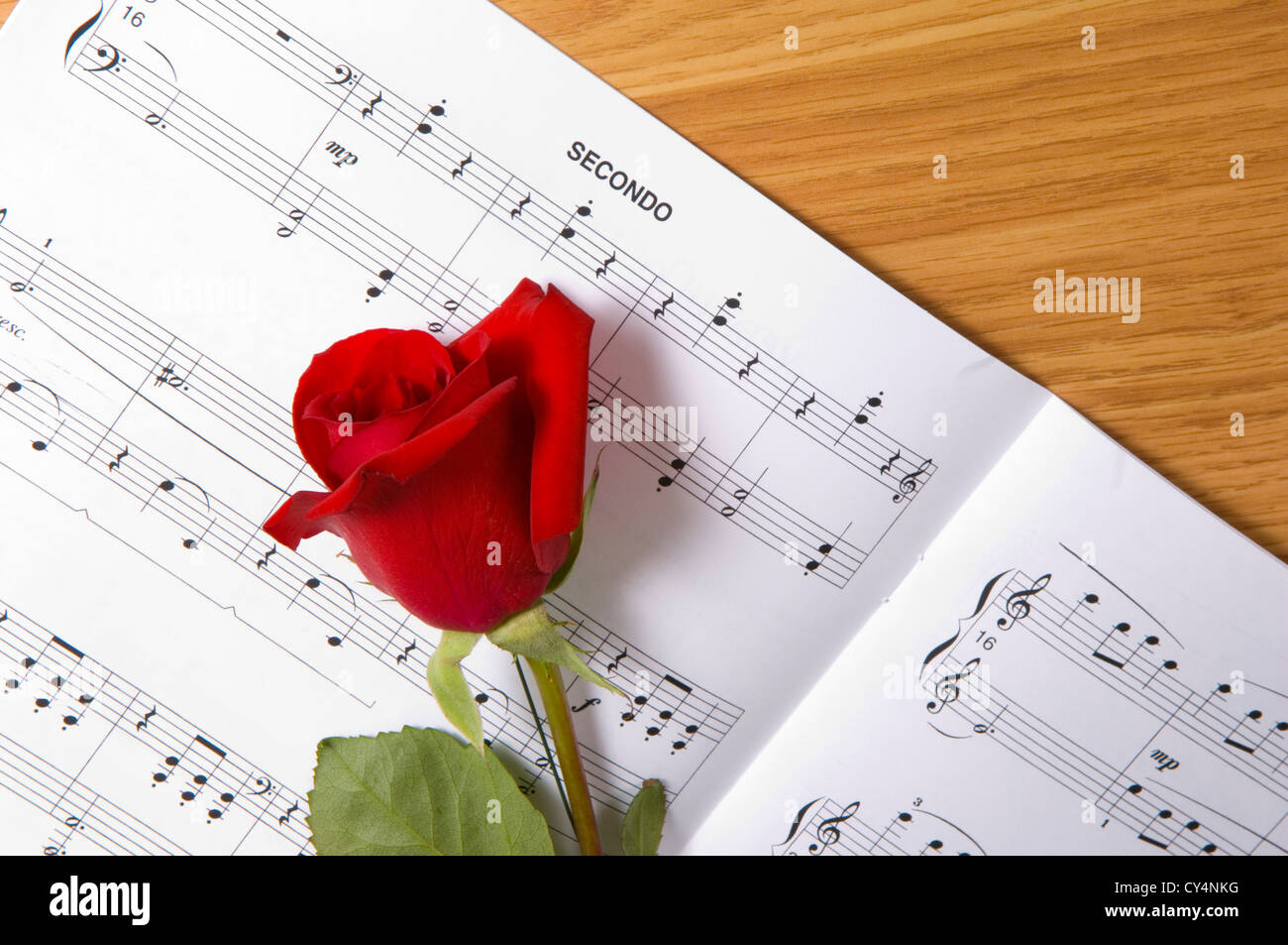 Ganze noten -Fotos und -Bildmaterial in hoher Auflösung – Alamy