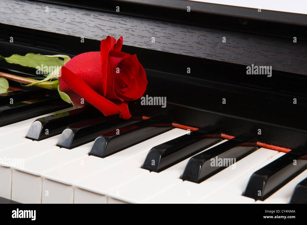 Rose piano -Fotos und -Bildmaterial in hoher Auflösung – Alamy