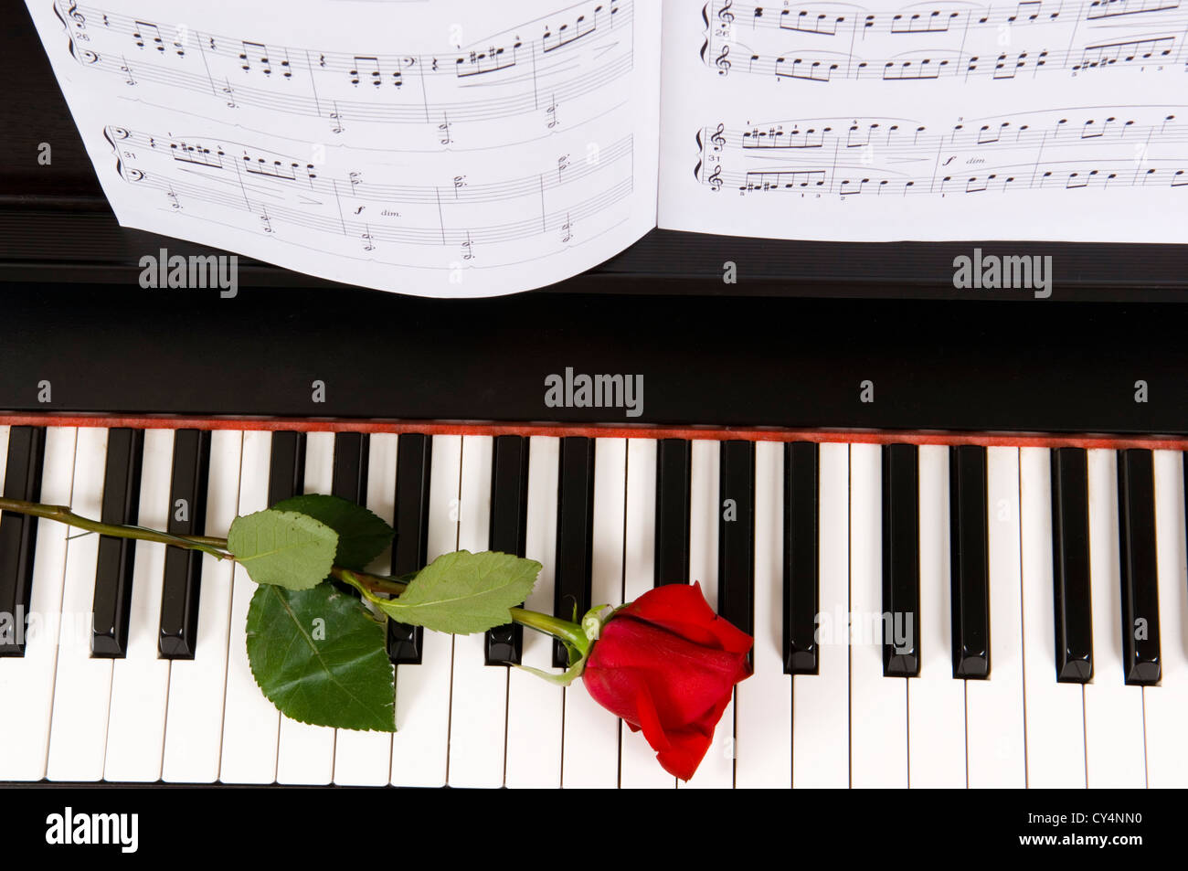 Rose Piano Stockfotos & Rose Piano Bilder - Alamy
