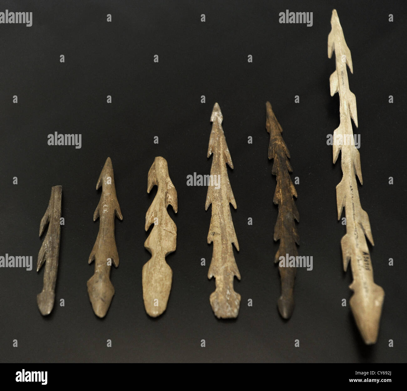 Harpunen 9500bc -Fotos und -Bildmaterial in hoher Auflösung – Alamy