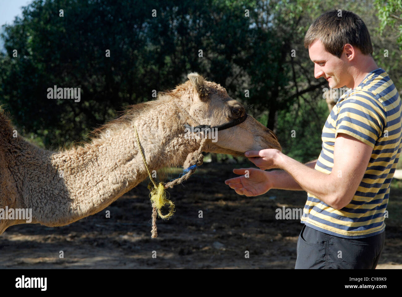 Tangier man Stockfotos und -bilder Kaufen - Alamy