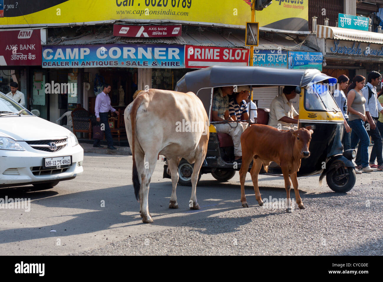 Alter pune -Fotos und -Bildmaterial in hoher Auflösung – Alamy