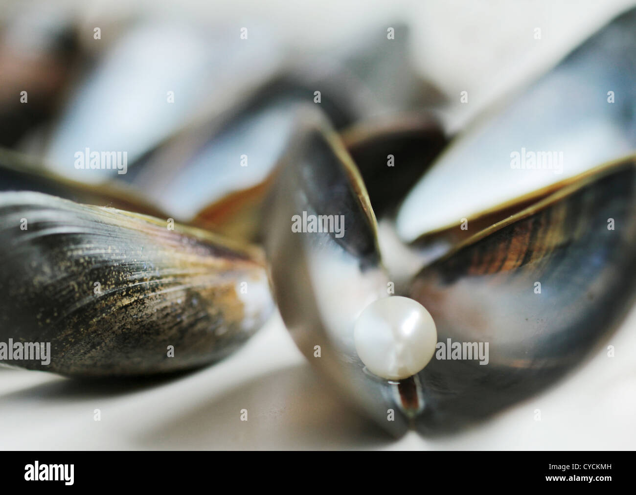 Mussel With Pearls Stockfotos und -bilder Kaufen - Alamy