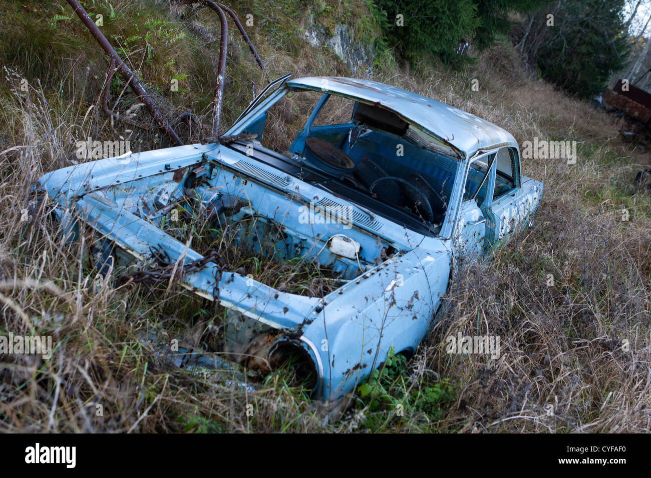 Autowracks im Wald Stockfotografie - Alamy