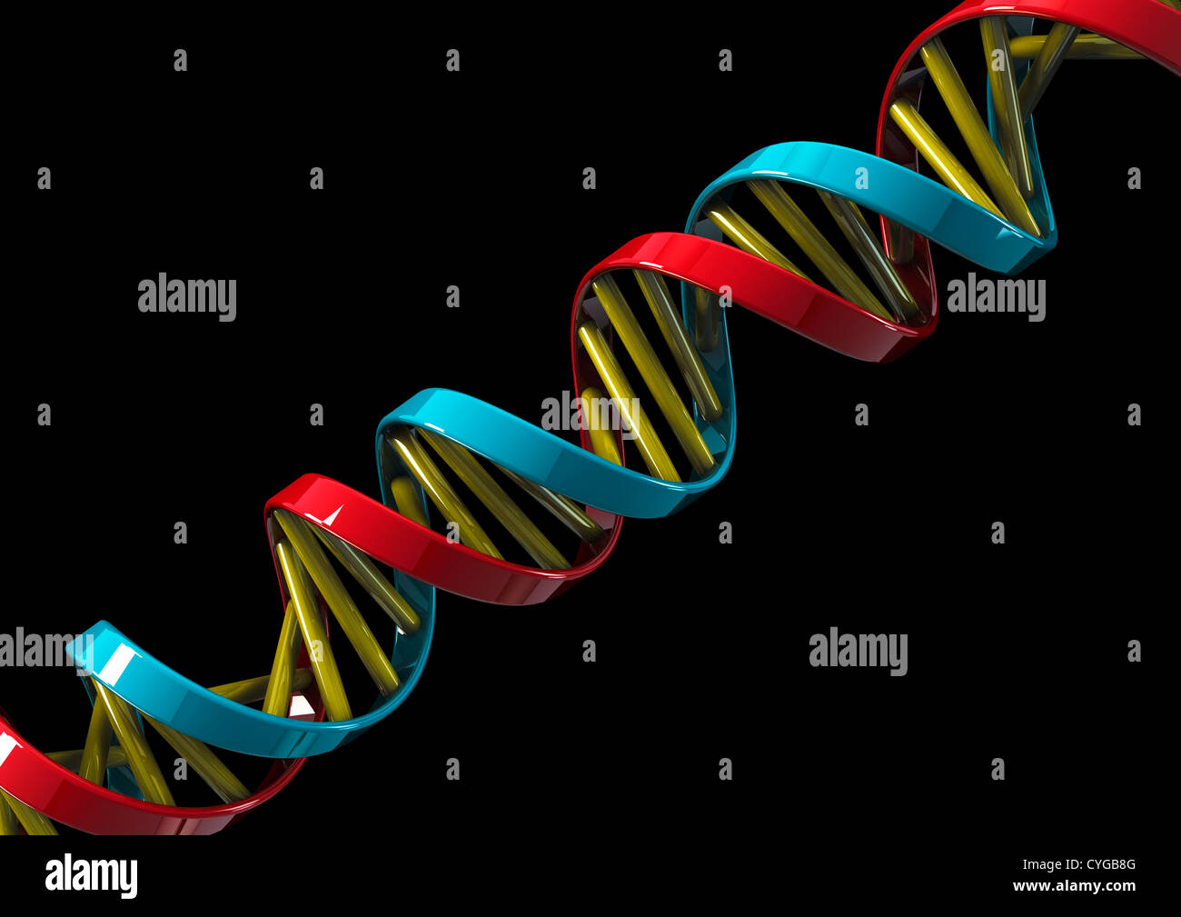 Doppelsträngige Dna Stockfotos und -bilder Kaufen - Alamy