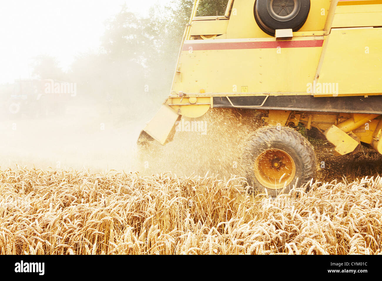 Transport der getreideernte -Fotos und -Bildmaterial in hoher Auflösung ...