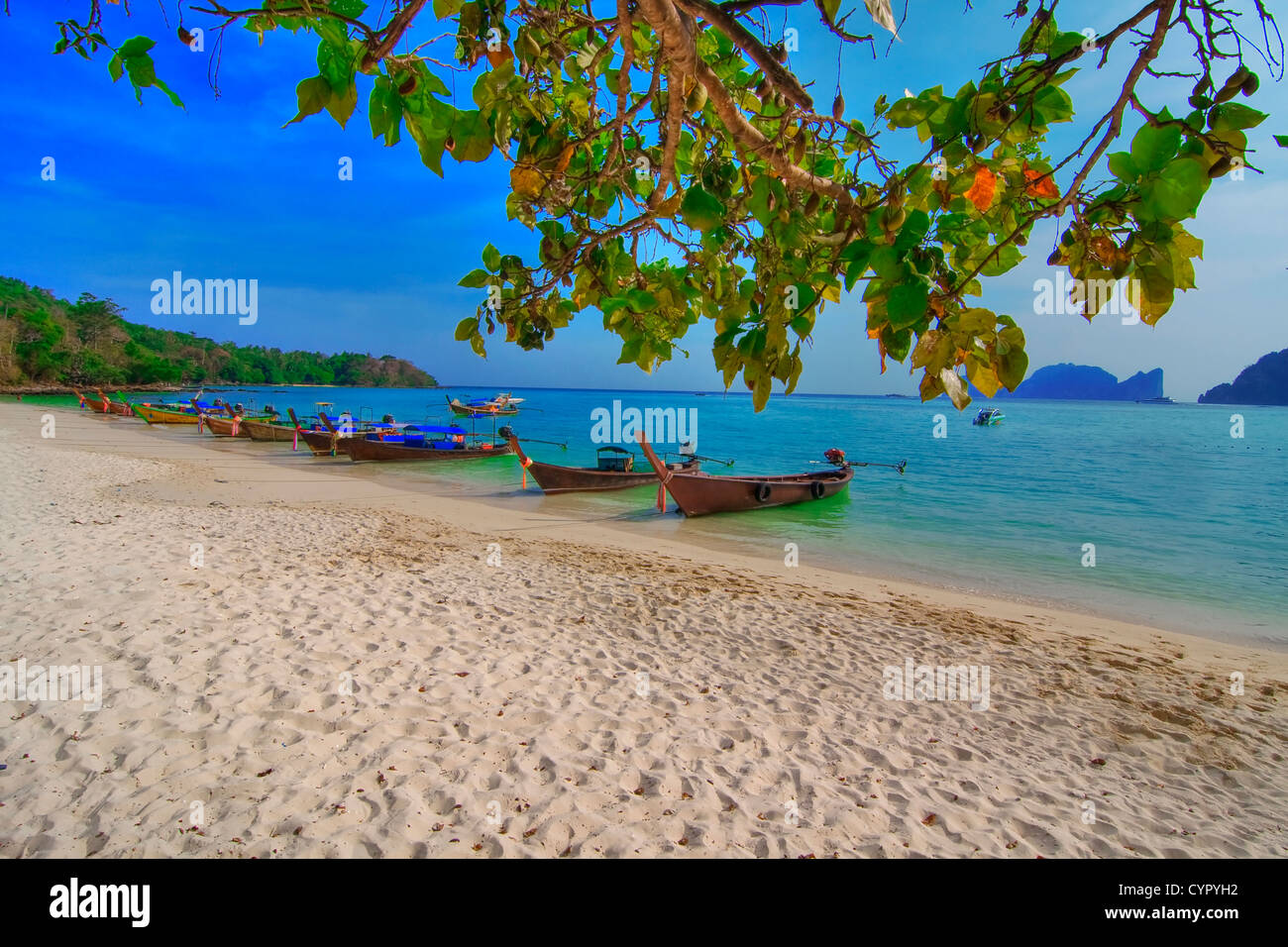 Phuket strandblumen -Fotos und -Bildmaterial in hoher Auflösung – Alamy