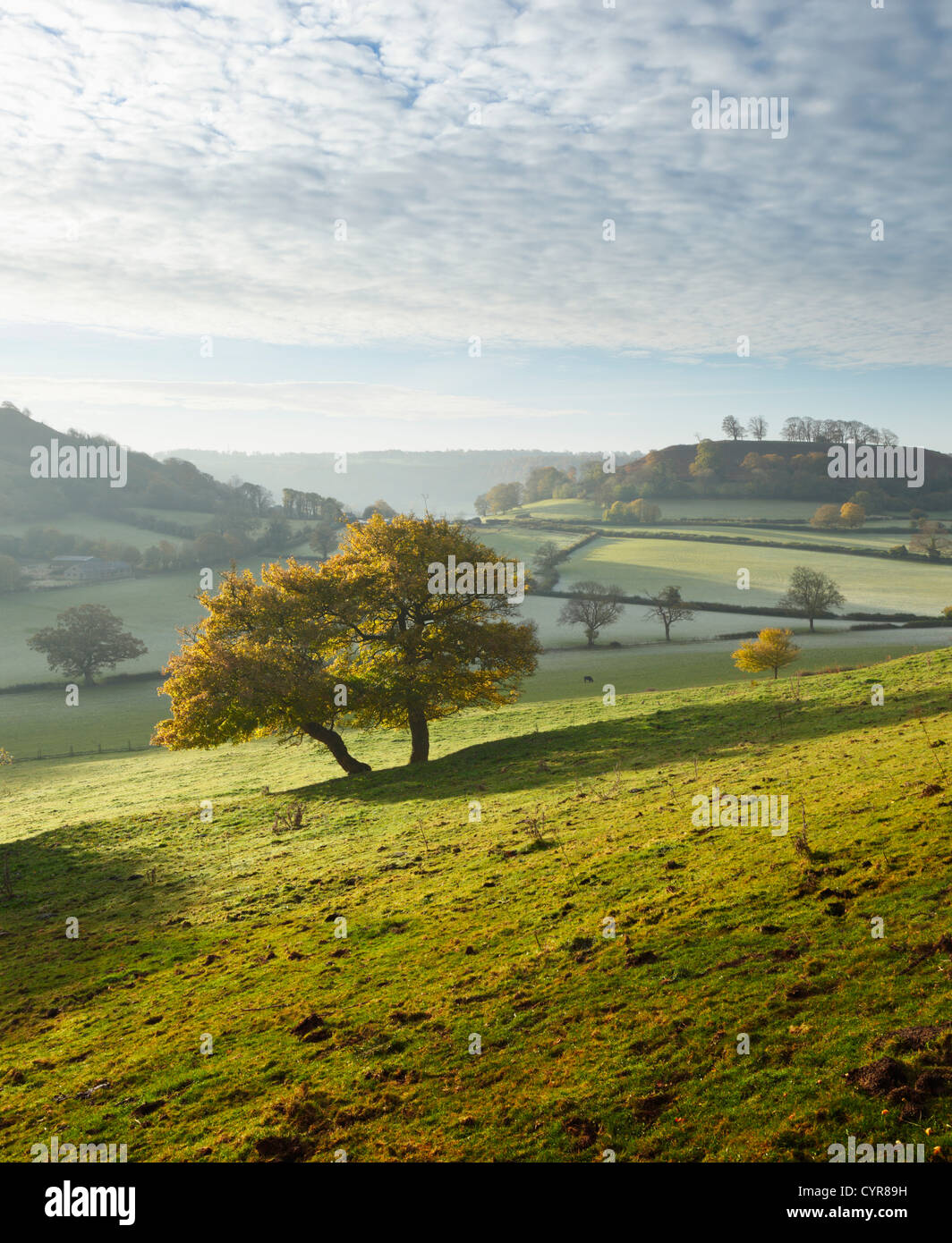 Cotswold countryside -Fotos und -Bildmaterial in hoher Auflösung – Alamy