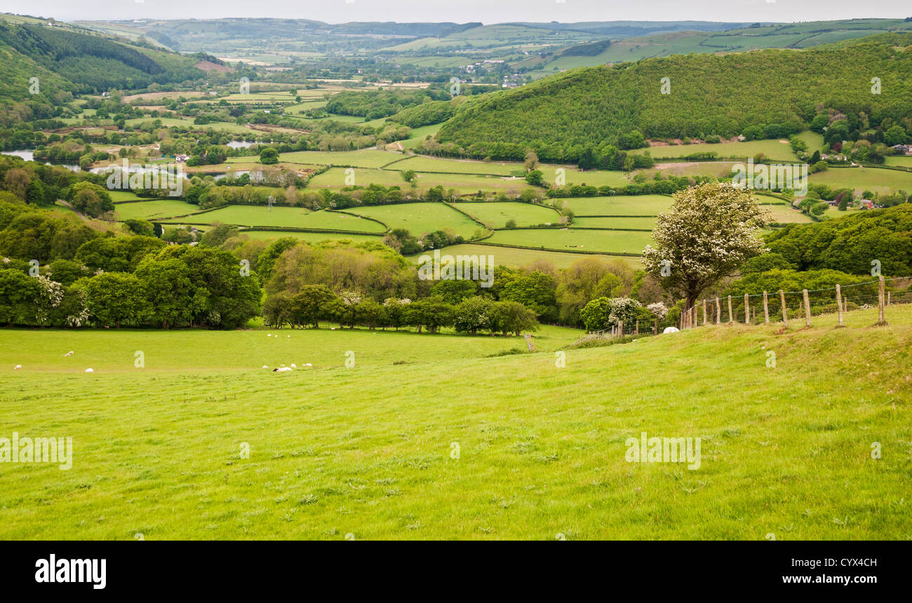 River rheidol -Fotos und -Bildmaterial in hoher Auflösung – Alamy