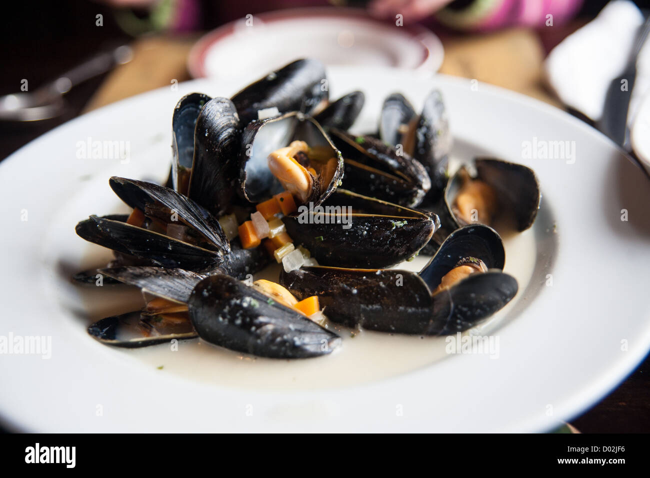 Muscheln essen -Fotos und -Bildmaterial in hoher Auflösung – Alamy