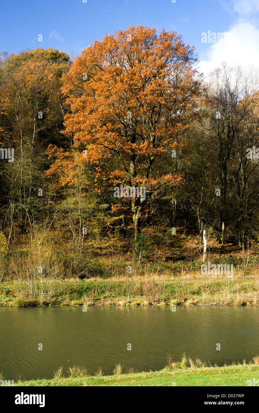 Taff bargoed community park -Fotos und -Bildmaterial in hoher Auflösung ...