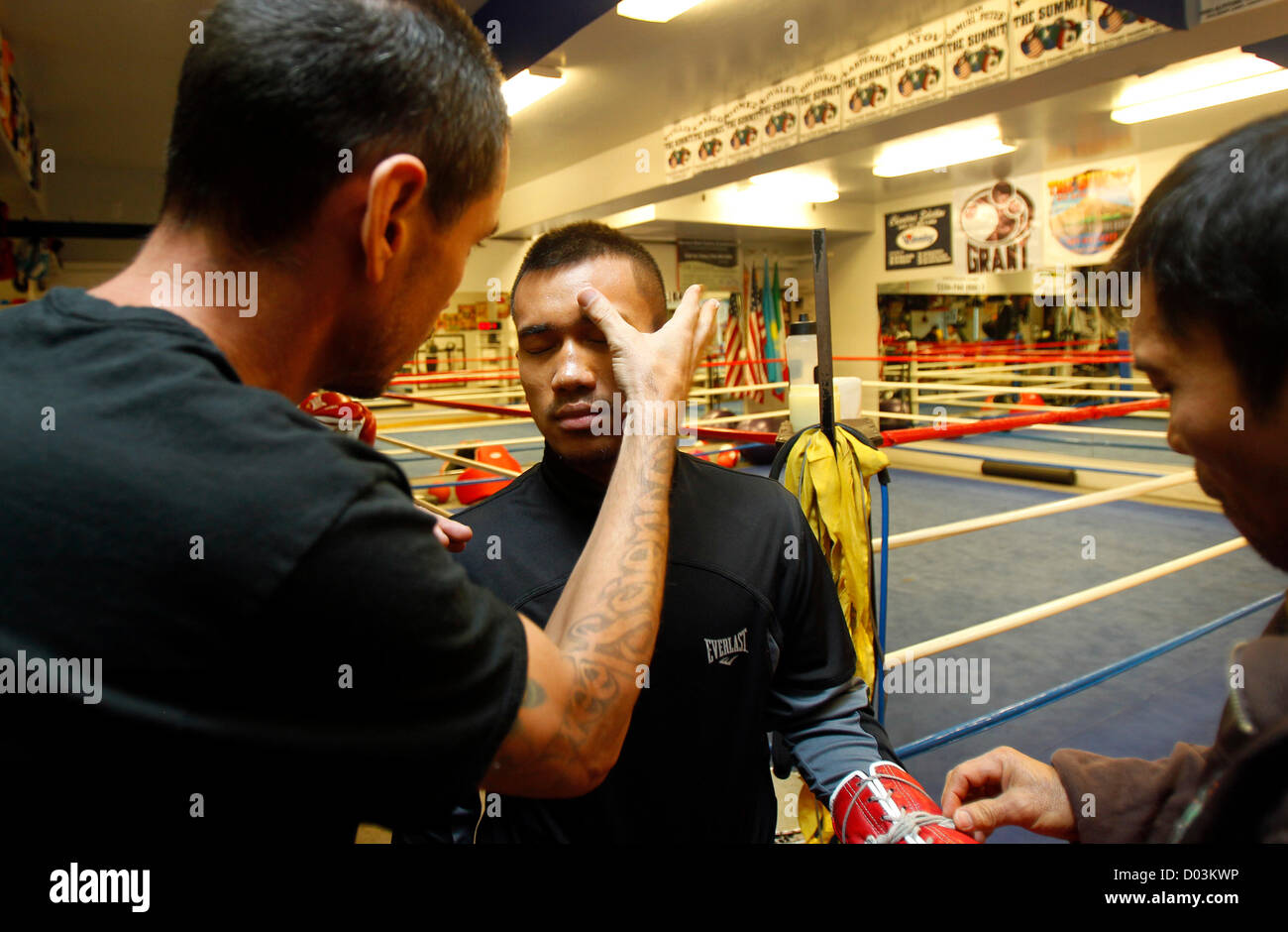 14. November 2012 - Big Bear, Kalifornien, Vereinigte Staaten - 14 ...