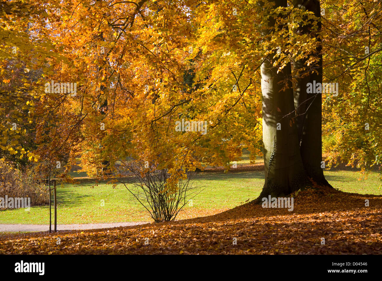 Glienicker autumn -Fotos und -Bildmaterial in hoher Auflösung – Alamy
